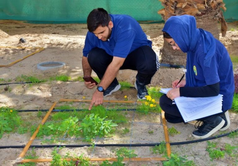 Secondary – Nada International School